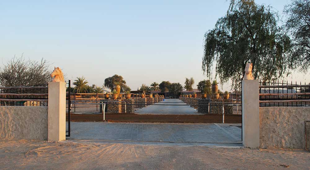 Gallery – AF Farms